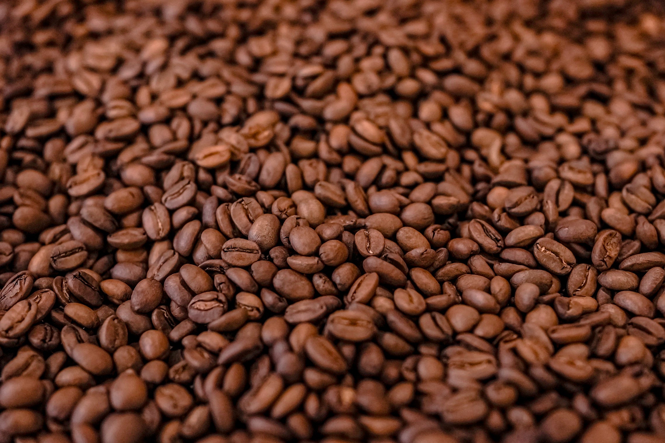 How To Choose The Best Coffee Supplier | Pure Grounds Coffee Co.